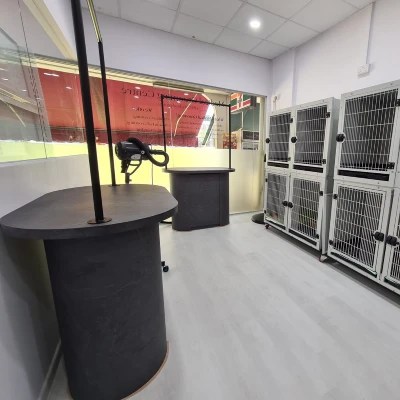 Photo gallery – Medical Grooming Centre