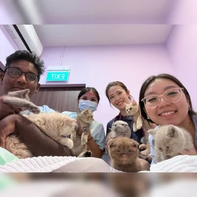 The MGC team – Medical Grooming Centre