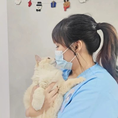 The MGC team – Medical Grooming Centre