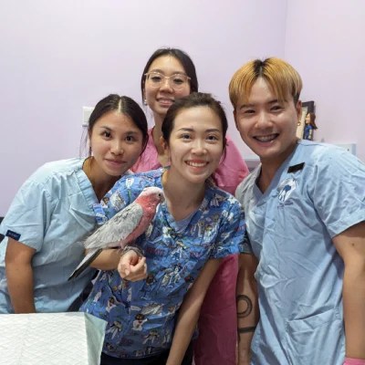 The MGC team – Medical Grooming Centre